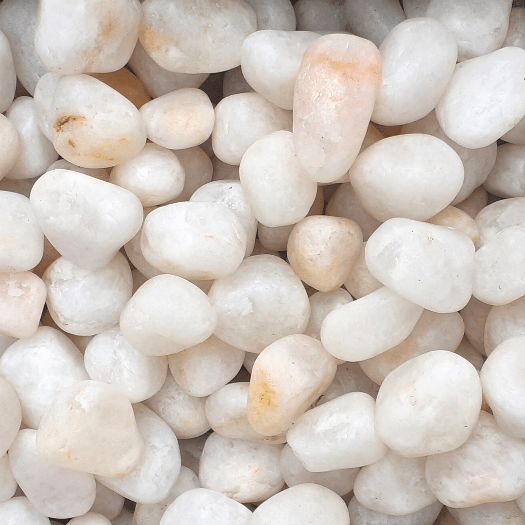 Unpolished White Pebbles- Large 1 kg – Gardenista